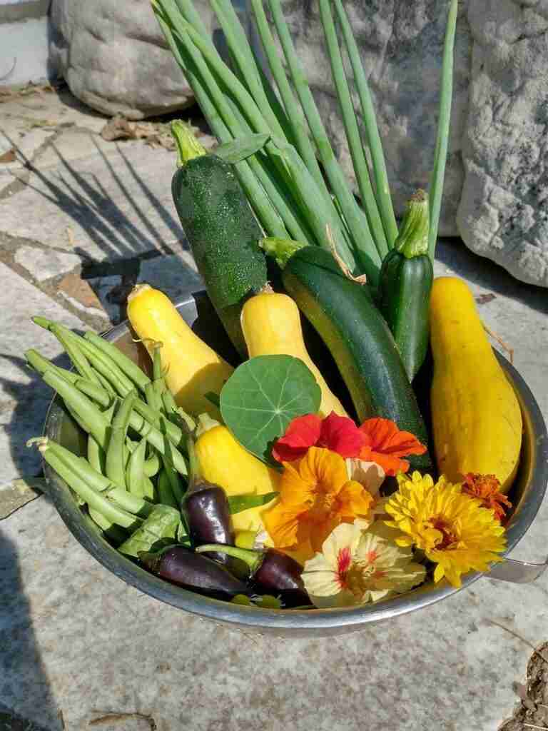 Food Finder - Echo Ridge Farm